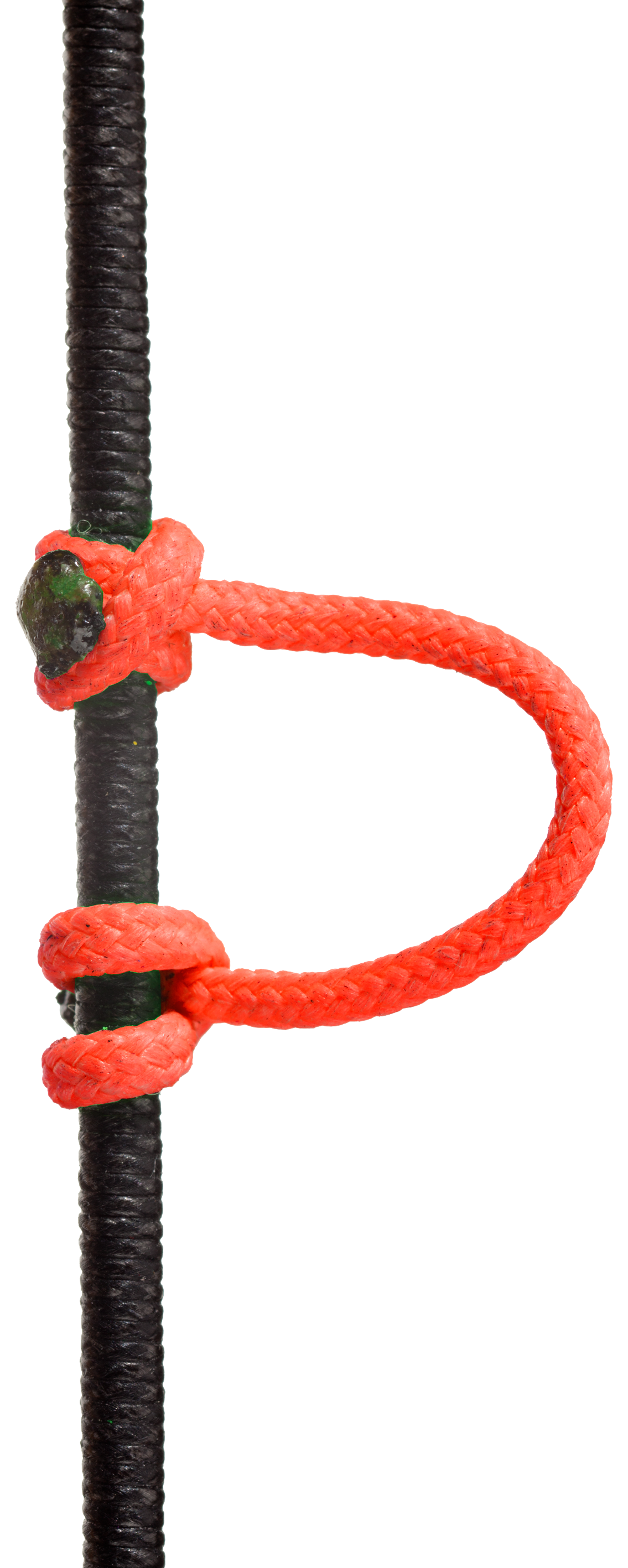 BCY #24 D-Loop Rope | Bass Pro Shops